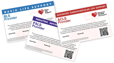 Get Certified in Basic Life Support Now!